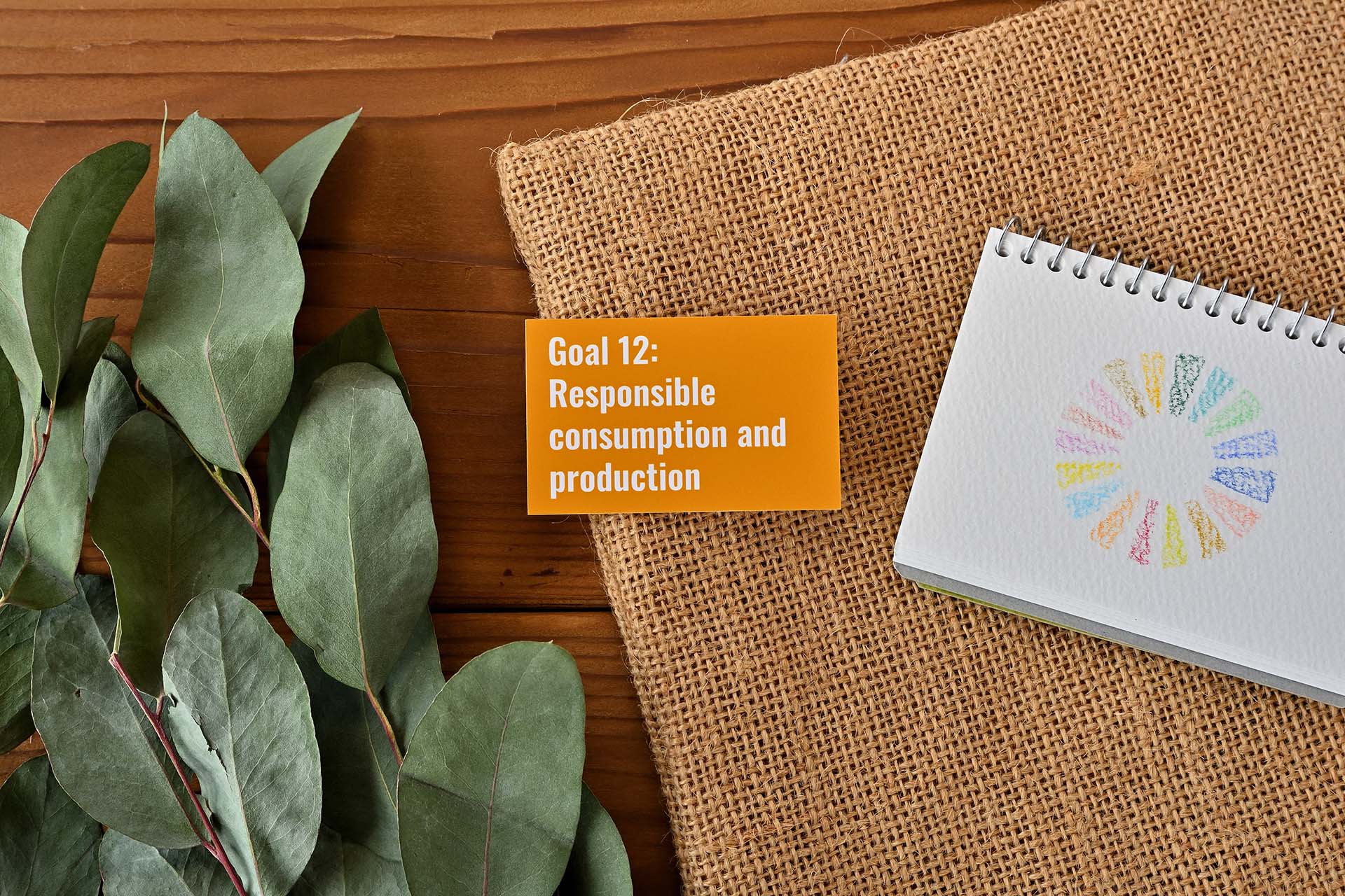 SDGsの目標12 つくる責任つかう責任とは? SATでの取り組みを紹介